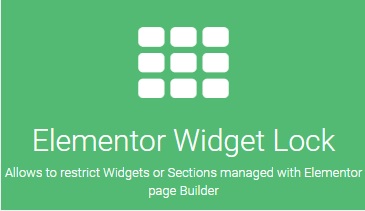 Elementor Widget Lock - WPIndeed Store